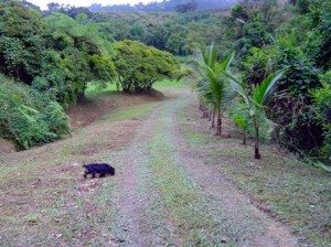 Invitan a foro sobre mayordomía y creación – Atabey