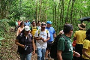 Anuncian avances en la creación de la Red Nacional de Veredas de Puerto ...