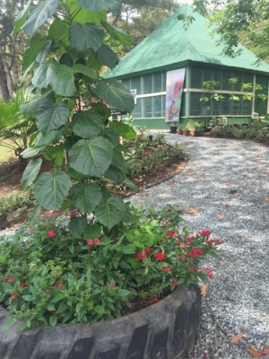 Inauguran mariposario construido por maestros y estudiantes en el ...