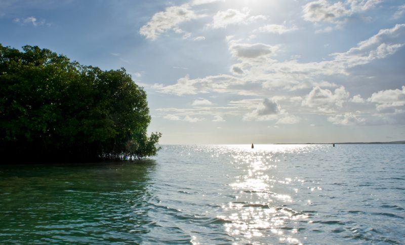 Rechazo científico y de expertos en derecho a medida para permitir ...